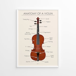Violin Anatomy Poster, Violin Diagram Printable, Violin Parts Names ...
