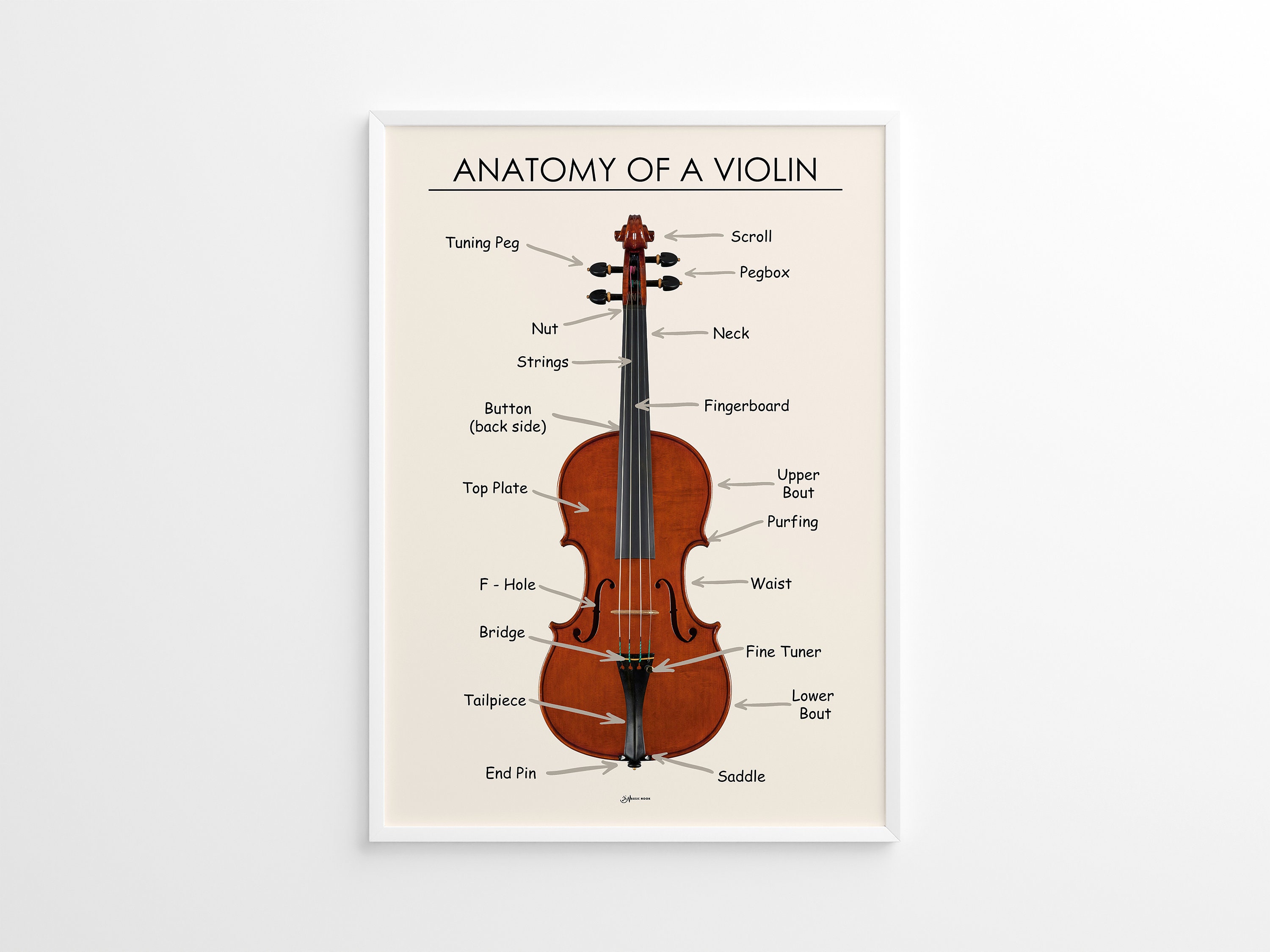 Violin Anatomy Poster, Violin Diagram Printable, Violin Parts Names ...