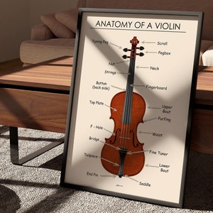 Violin Anatomy Poster, Violin Diagram Printable, Violin Parts Names ...