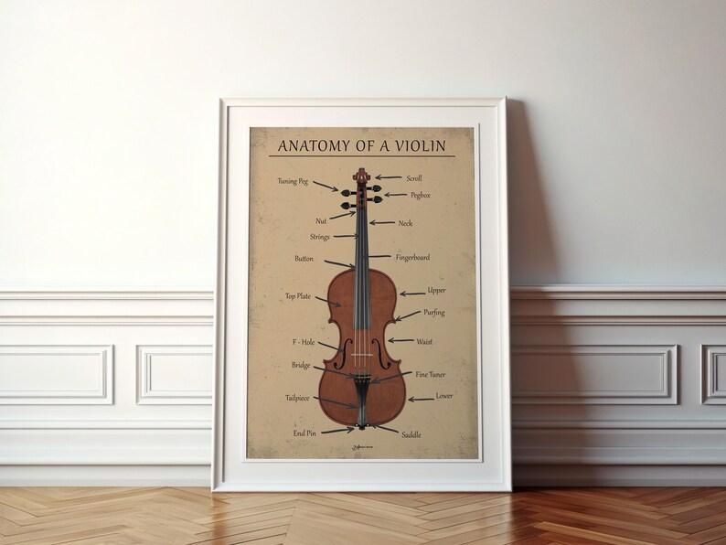 Violin Parts Chart, Vintage Violin Anatomy Poster, Printable Violin ...