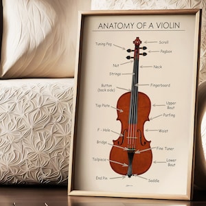 Violin Anatomy Poster, Violin Diagram Printable, Violin Parts Names ...