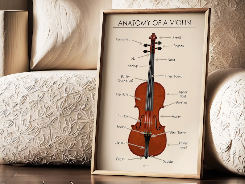 Violin Anatomy Poster, Violin Diagram Printable, Violin Parts Names ...