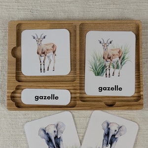 Montessori Savanna Animals Nomenclature Cards & Wood Presentation Tray ...