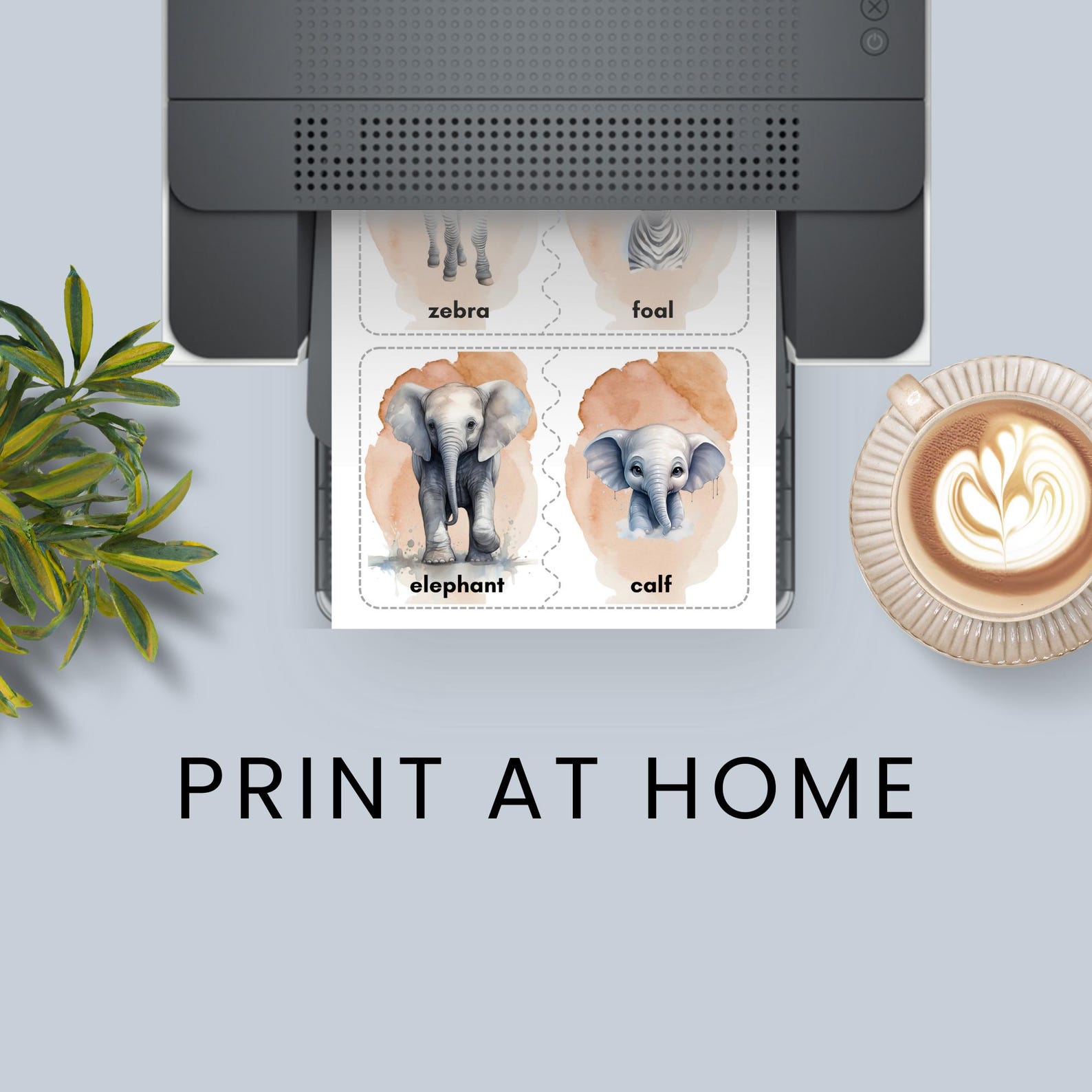 Montessori Savanna Adult and Baby Animal Matching Cards | 2-part ...