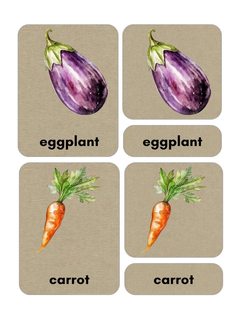 Vegetable Nomenclature Cards | Montessori 3-part Learning Cards for ...