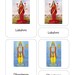 Montessori Diwali Nomenclature Cards: Festival of Lights Vocabulary ...