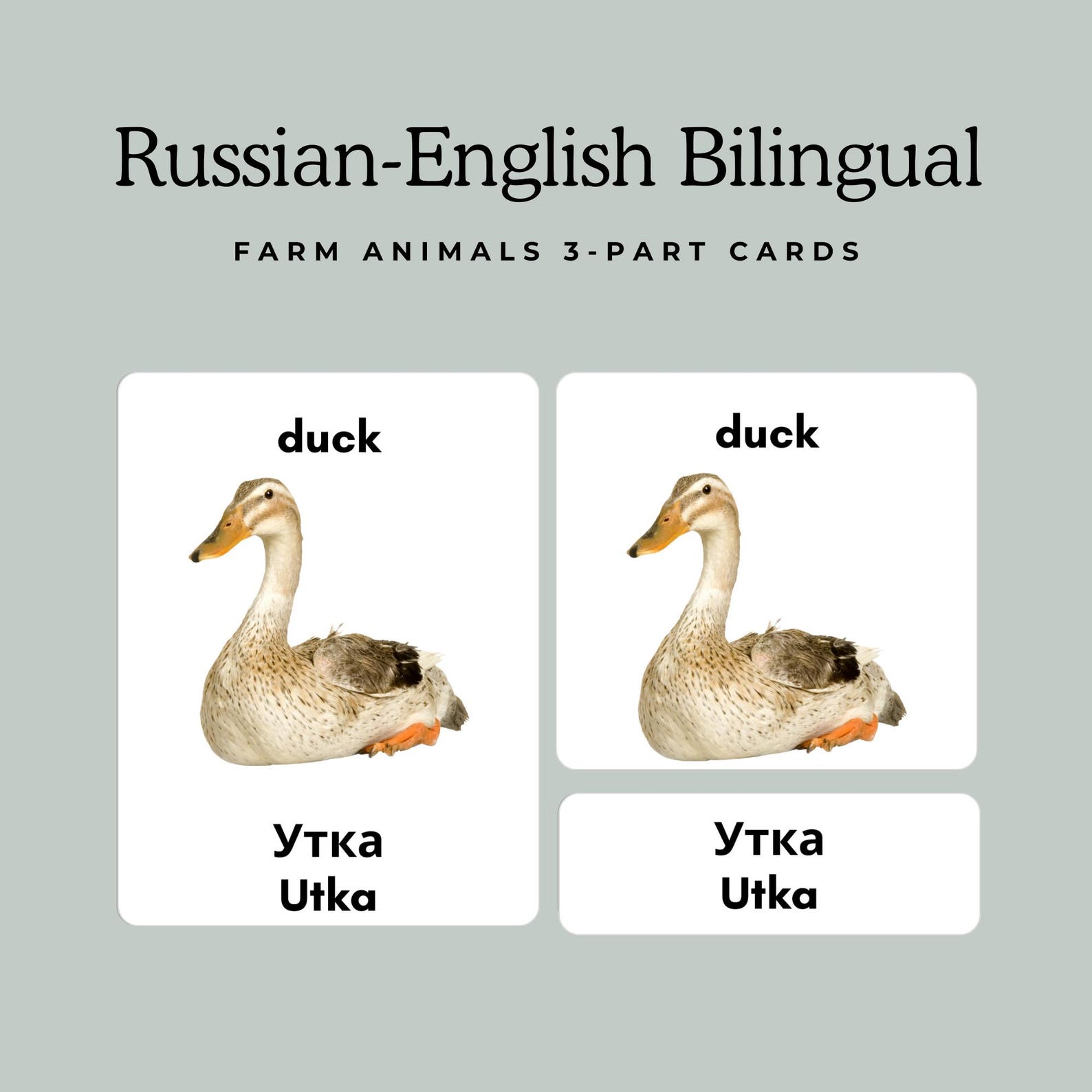 Russian-english Bilingual Farm Animals 3-part Flashcards | Montessori ...