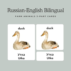 Russian-english Bilingual Farm Animals 3-part Flashcards | Montessori ...