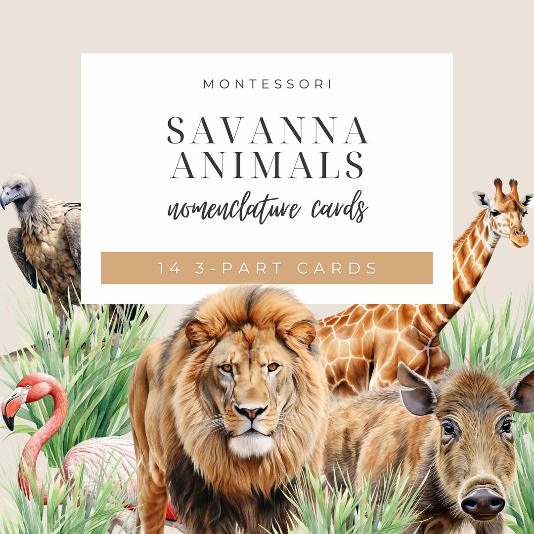 Montessori Savanna Animals Nomenclature Cards | Zoology 3-part Card ...