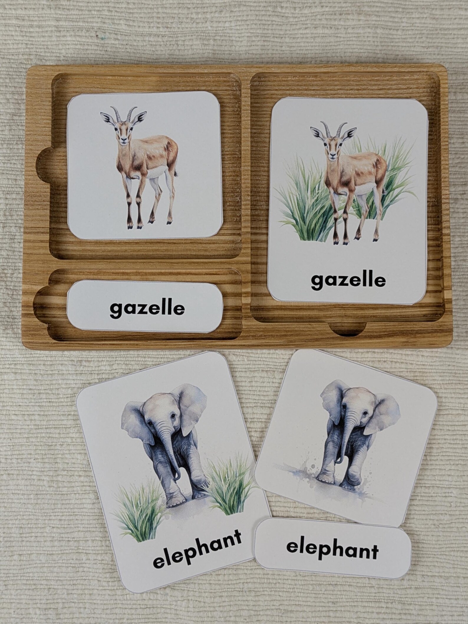 Montessori Savanna Animals Nomenclature Cards & Wood Presentation Tray ...