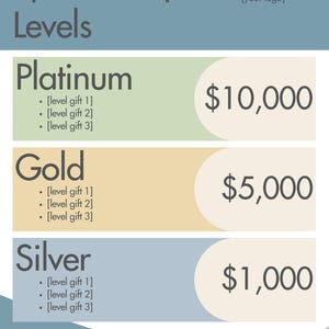 Customizable School Fundraising Canva Templates | Editable Nonprofit ...