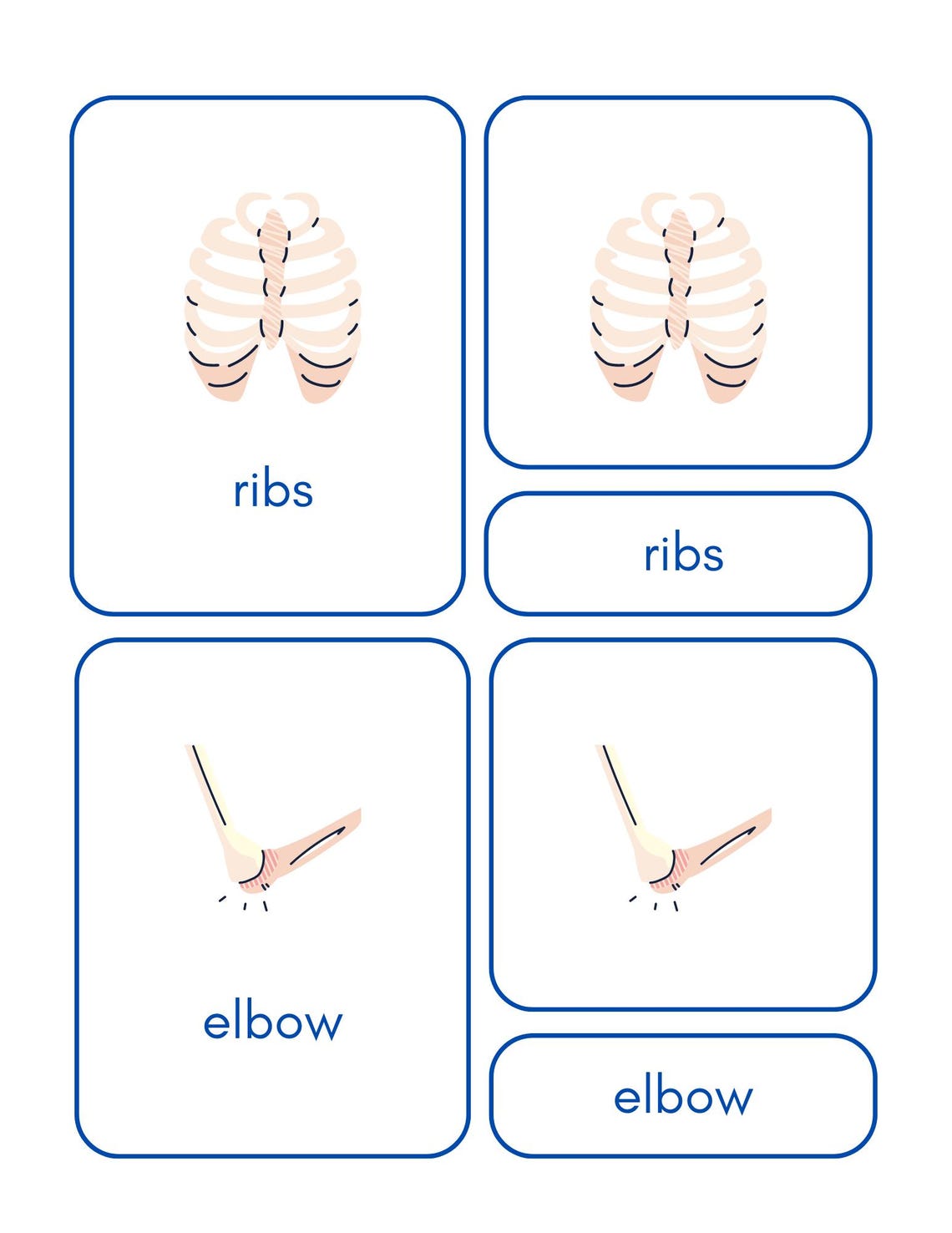Montessori Anatomy Nomenclature Cards | Primary | Early Childhood ...