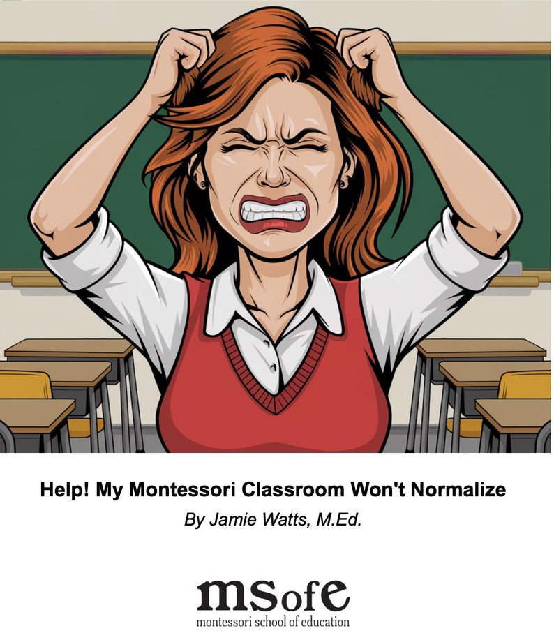 Help! My Montessori Classroom Won't Normalize - Etsy