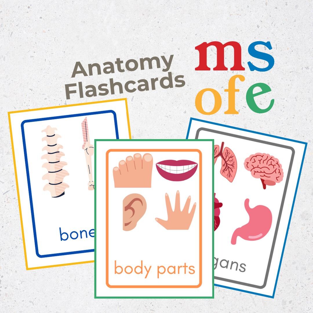 Montessori Anatomy Flashcards | Educational Human Body Learning for ...