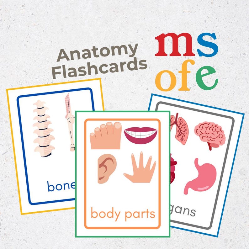 Montessori Anatomy Flashcards | Educational Human Body Learning for ...