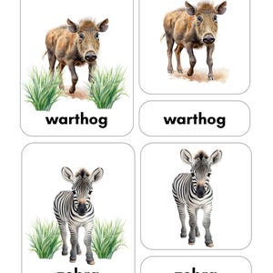 Montessori Savanna Animals Nomenclature Cards & Wood Presentation Tray ...