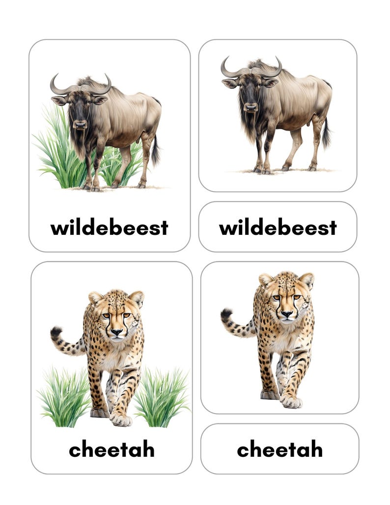 Montessori Savanna Animals Nomenclature Cards & Wood Presentation Tray ...