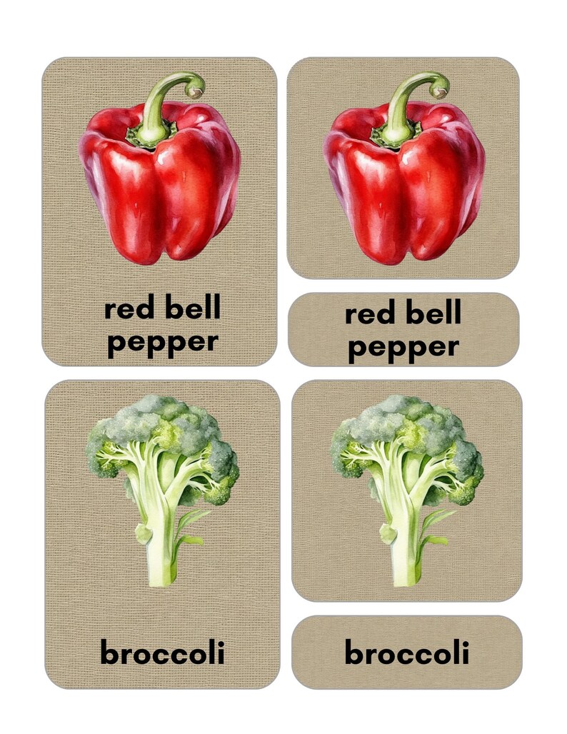 Vegetable Nomenclature Cards | Montessori 3-part Learning Cards for ...