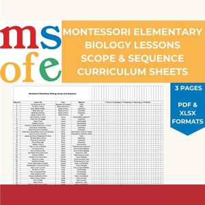 Montessori/homeschool Islamic Caliphates Medieval Civilization Lessons ...