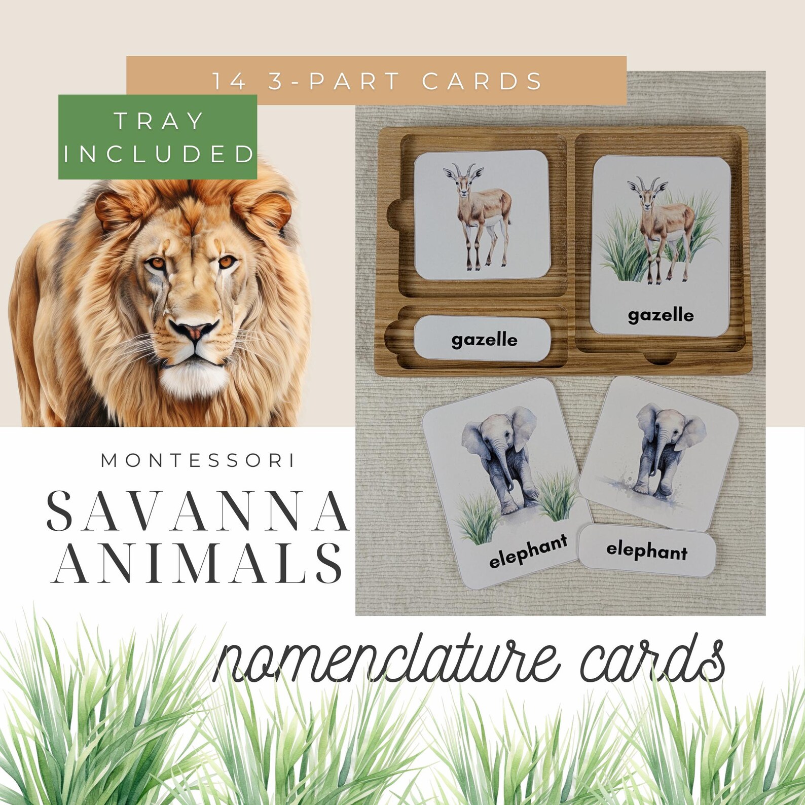 Montessori Savanna Animals Nomenclature Cards & Wood Presentation Tray ...