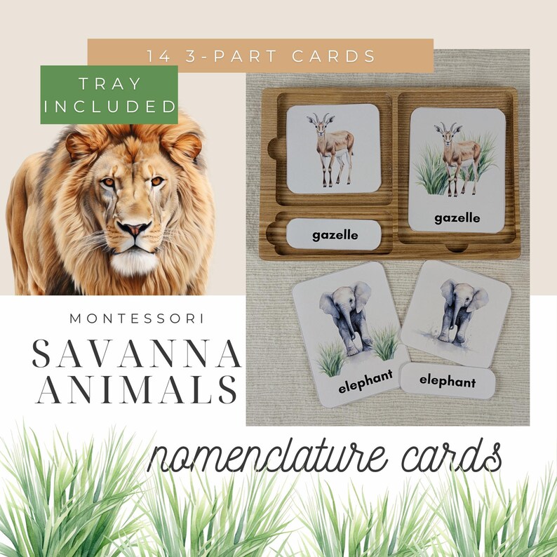Montessori Savanna Animals Nomenclature Cards & Wood Presentation Tray ...