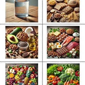 Exploring the Needs of Humans: Food & Water | Montessori Curriculum ...