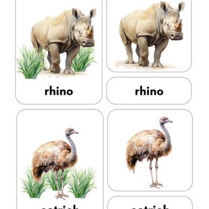 Montessori Savanna Animals Nomenclature Cards & Wood Presentation Tray ...