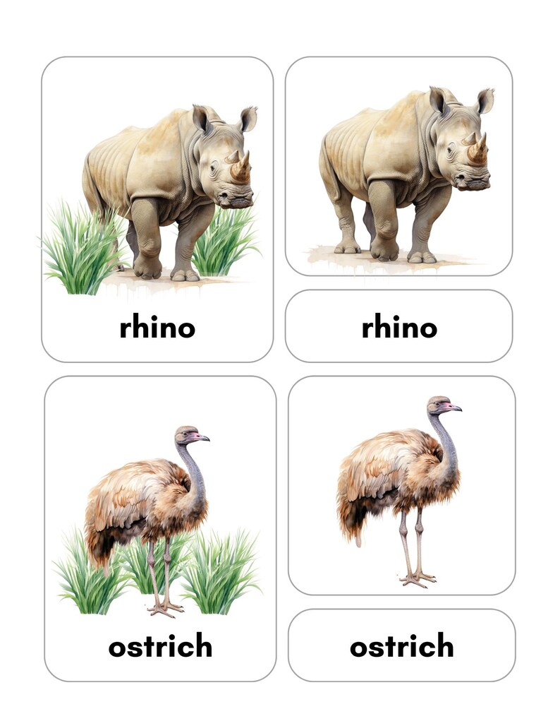 Montessori Savanna Animals Nomenclature Cards & Wood Presentation Tray ...