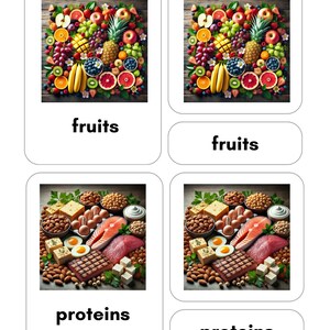 Exploring the Needs of Humans: Food & Water | Montessori Curriculum ...
