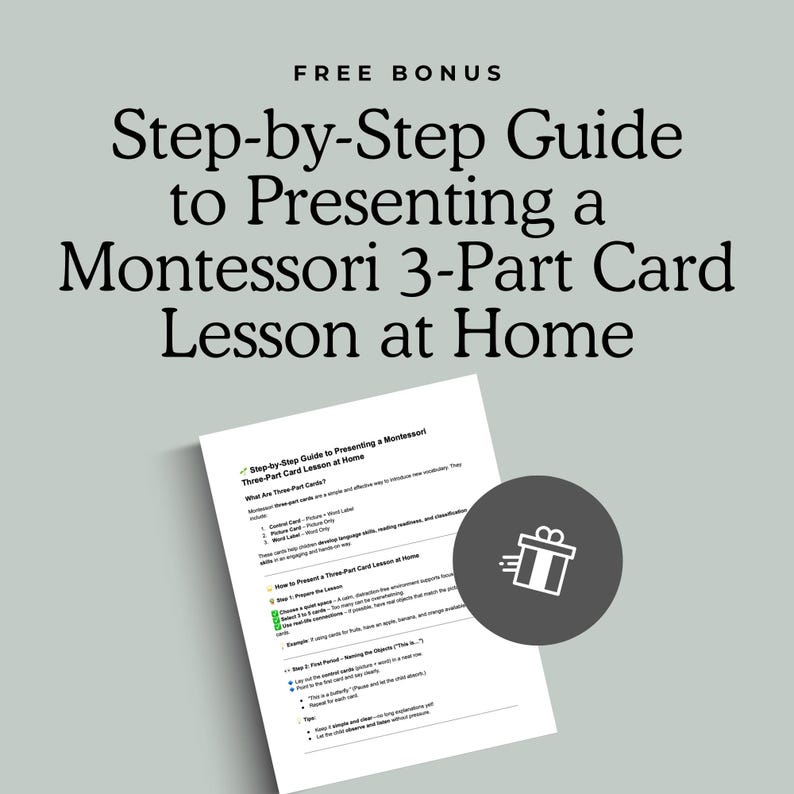 Spanish Clothing Montessori 3-part Cards: Early Language Learning ...