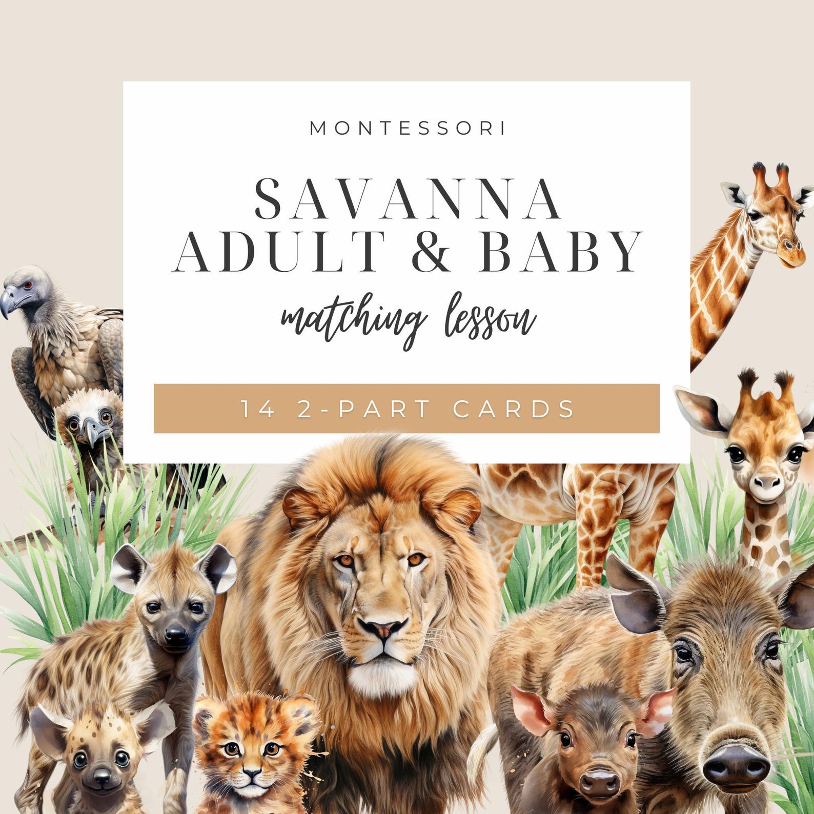 Montessori Savanna Adult and Baby Animal Matching Cards | 2-part ...