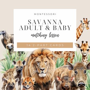 Montessori Savanna Adult and Baby Animal Matching Cards | 2-part ...