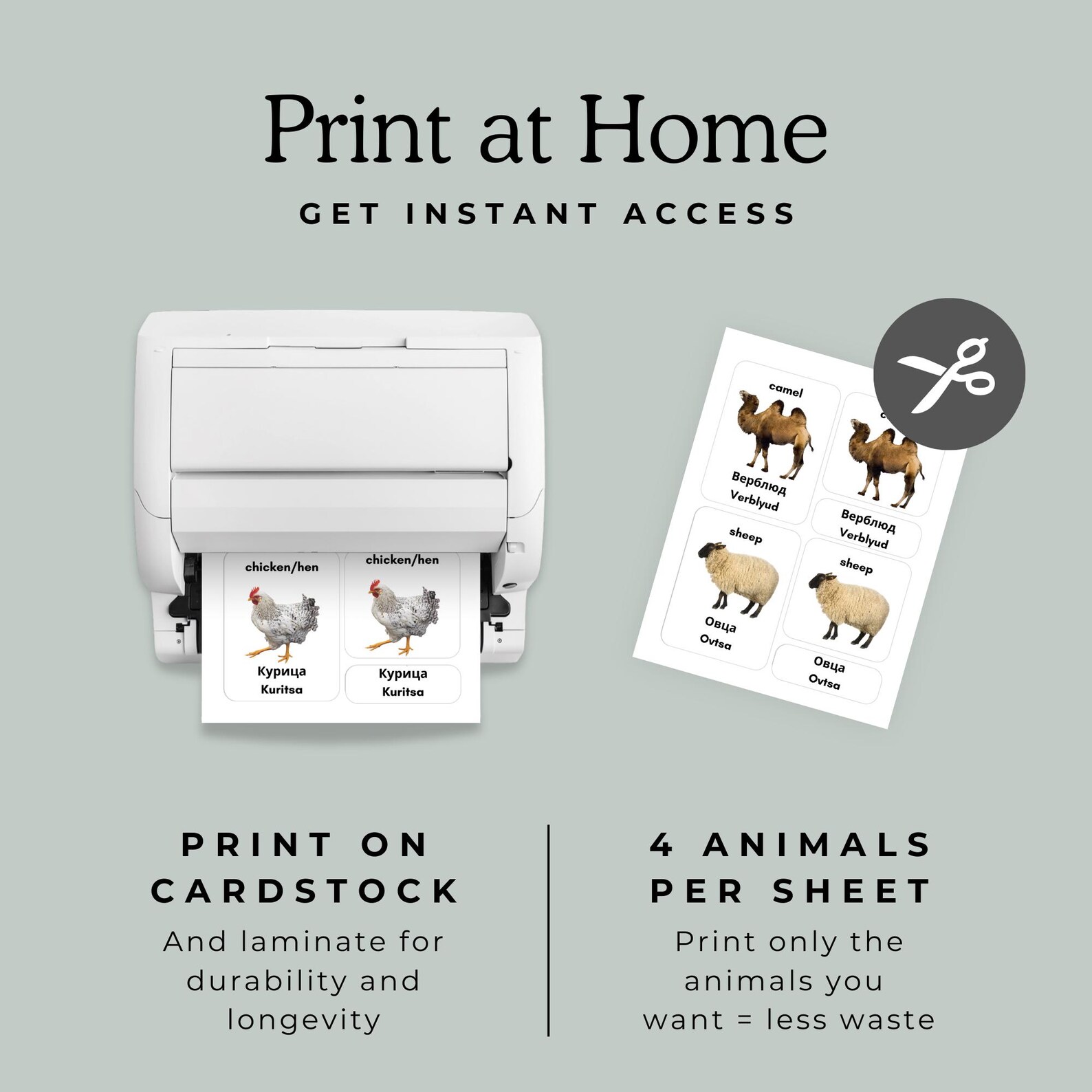 Russian-english Bilingual Farm Animals 3-part Flashcards | Montessori ...