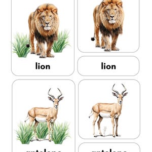Montessori Savanna Animals Nomenclature Cards & Wood Presentation Tray ...