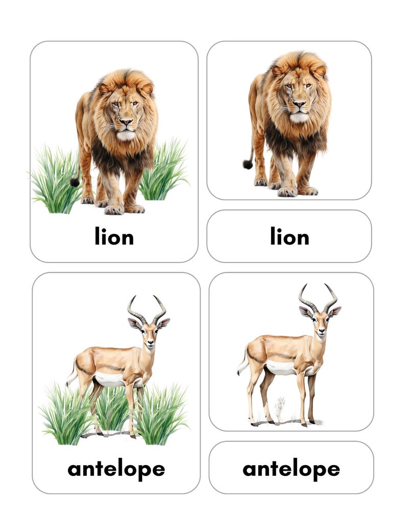 Montessori Savanna Animals Nomenclature Cards & Wood Presentation Tray ...