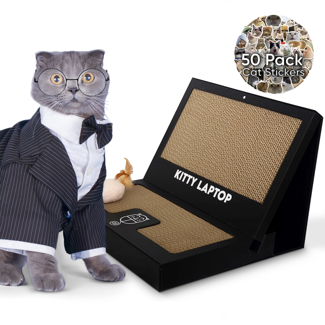 Kitty Laptop Cat Scratcher: Interactive Toy With Catnip Mouse ...