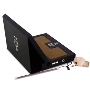 Kitty Laptop Cat Scratcher: Interactive Toy With Catnip Mouse ...