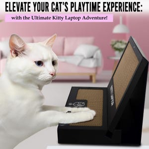 Kitty Laptop Cat Scratcher: Interactive Toy With Catnip Mouse ...