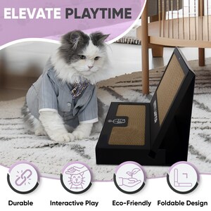 Kitty Laptop Cat Scratcher: Interactive Toy With Catnip Mouse ...