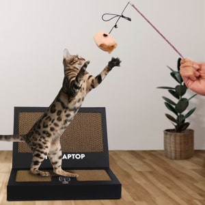 Kitty Laptop Cat Scratcher: Interactive Toy With Catnip Mouse ...