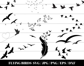 Bird SVG, Bird Svg Bundle, Flying Bird Svg, Animal Svg, Bird Clip Art ...