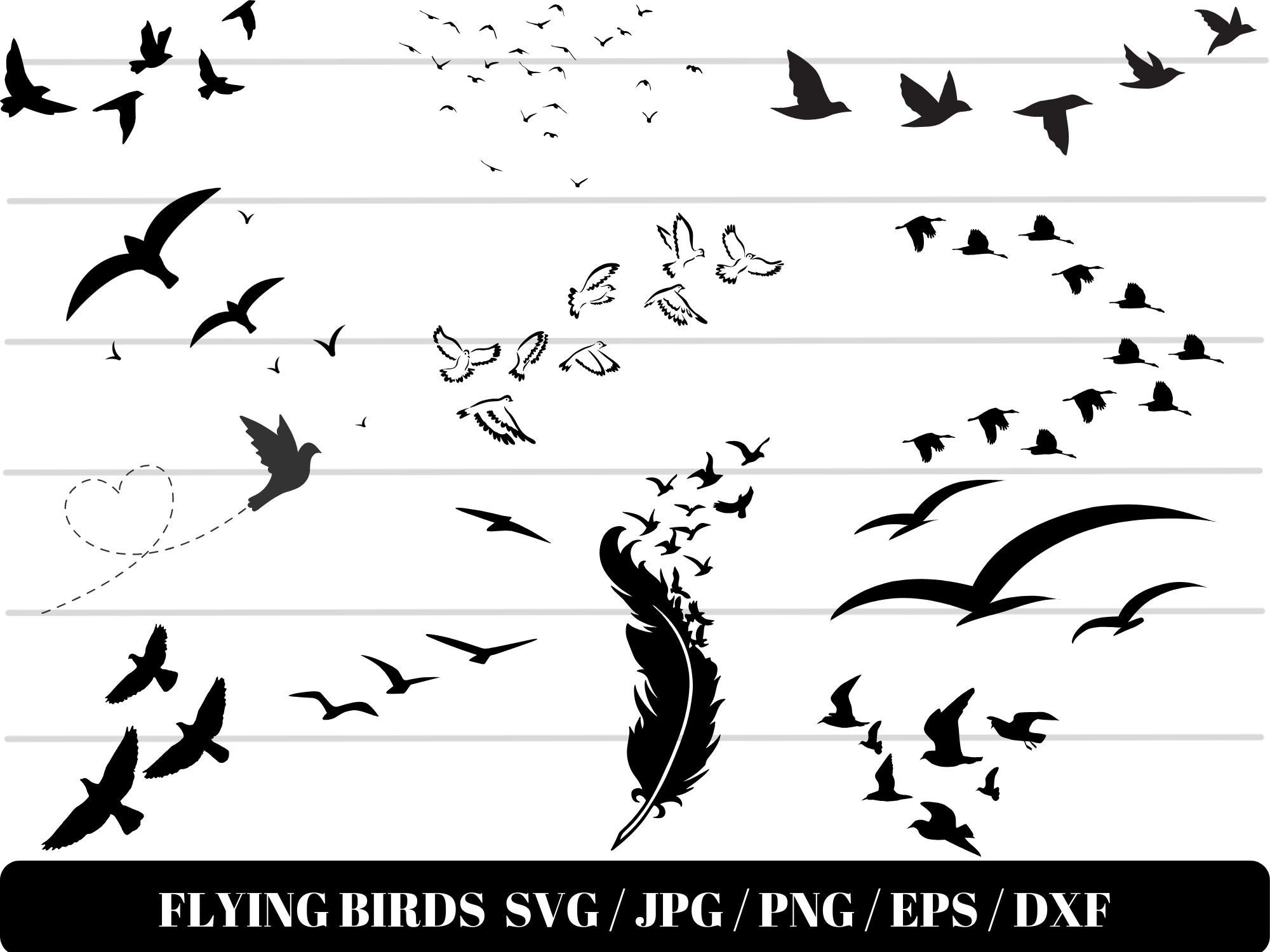 Bird SVG, Bird Svg Bundle, Flying Bird Svg, Animal Svg, Bird Clip Art ...