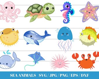 Cute Sea Animals SVG, Ocean Sea Animals PNG Clipart, Starfish, Whale ...