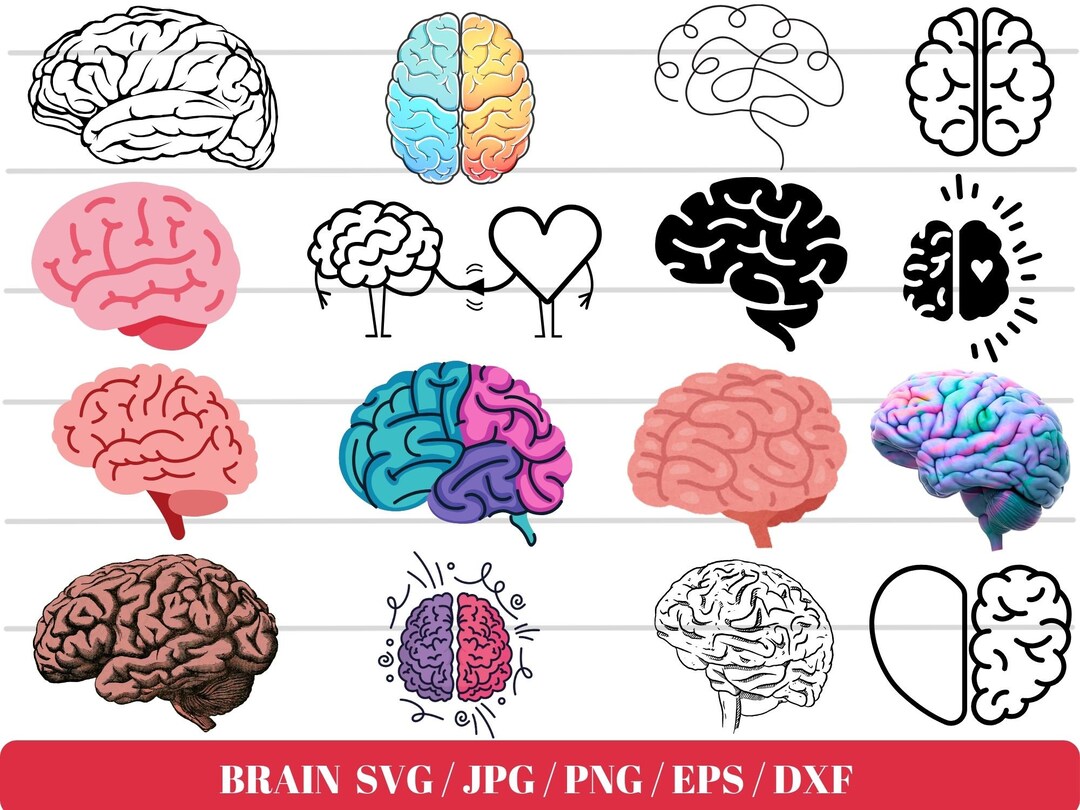 Brain SVG, Brain Cut File, Brain JPG, Brain PNG, Brain Clipart, Brain ...