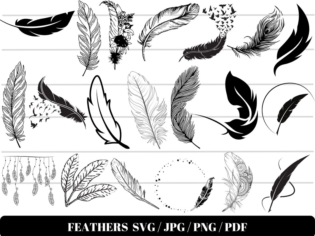 Feather Svg Bundle, Feather Birds Svg, Dxf, Png, Jpg, Feathers ...