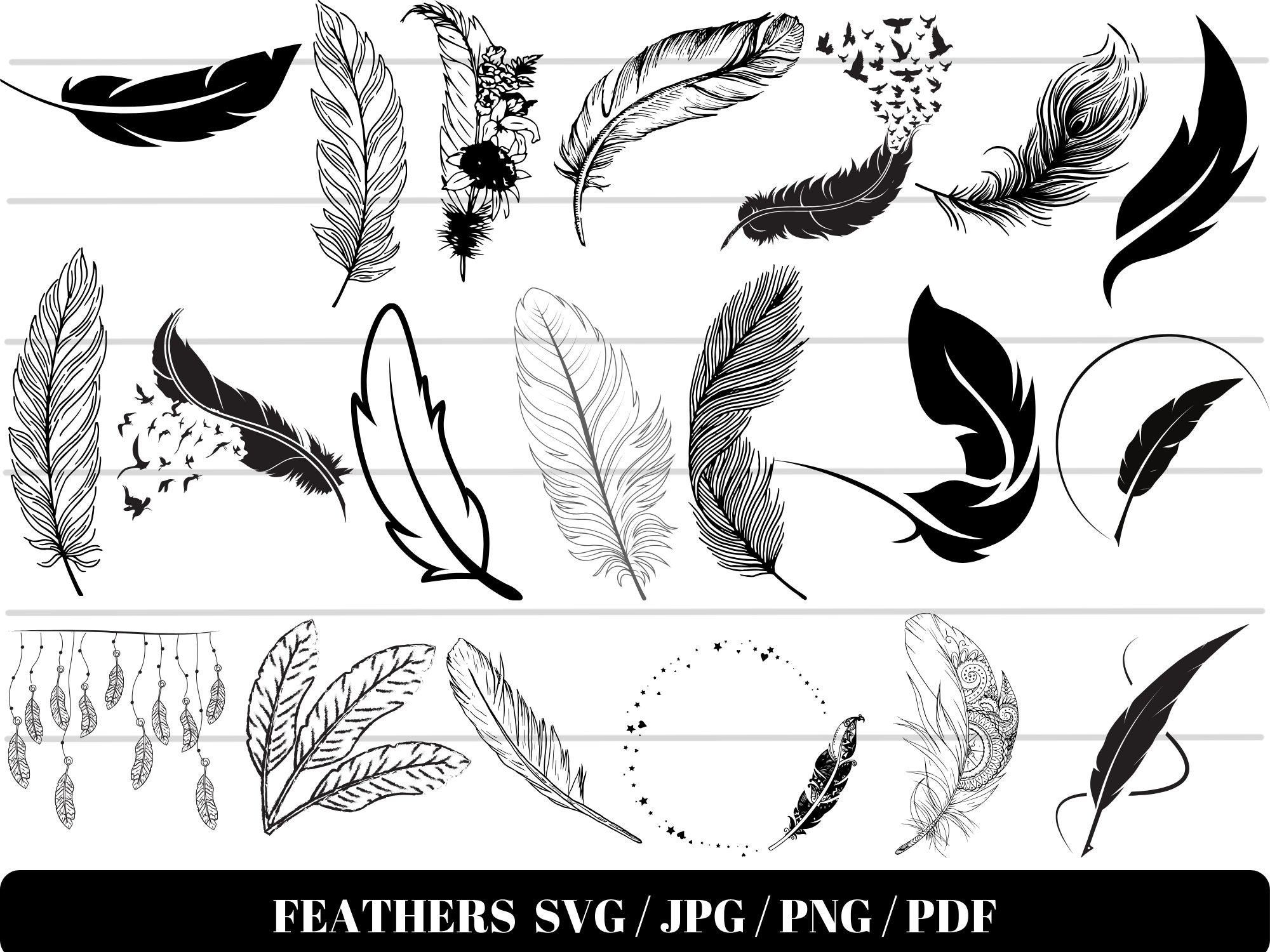 Feather Svg Bundle, Feather Birds Svg, Dxf, Png, Jpg, Feathers ...