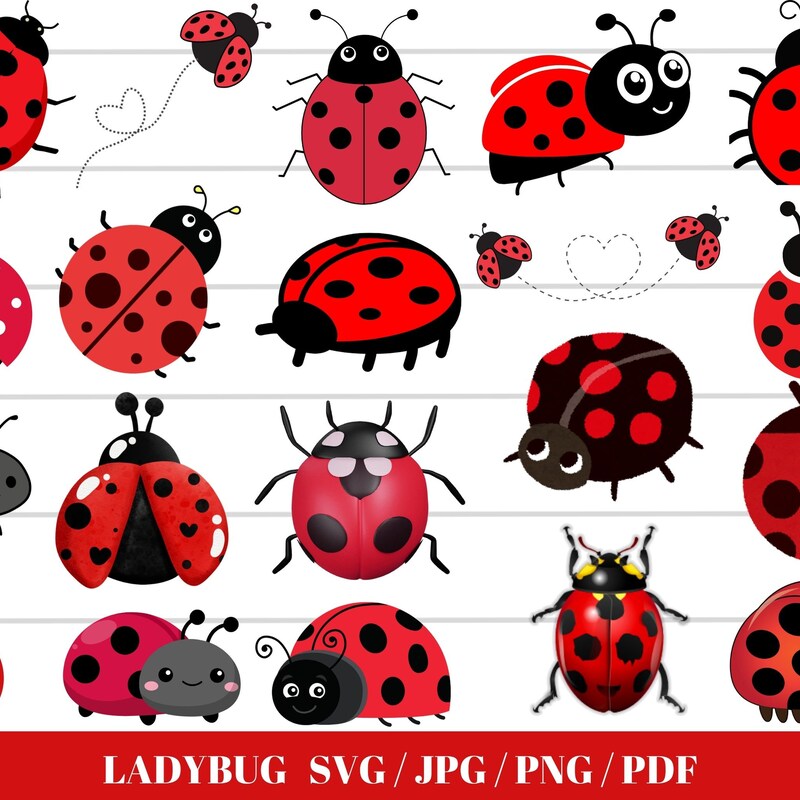 Ladybug Svg - Etsy