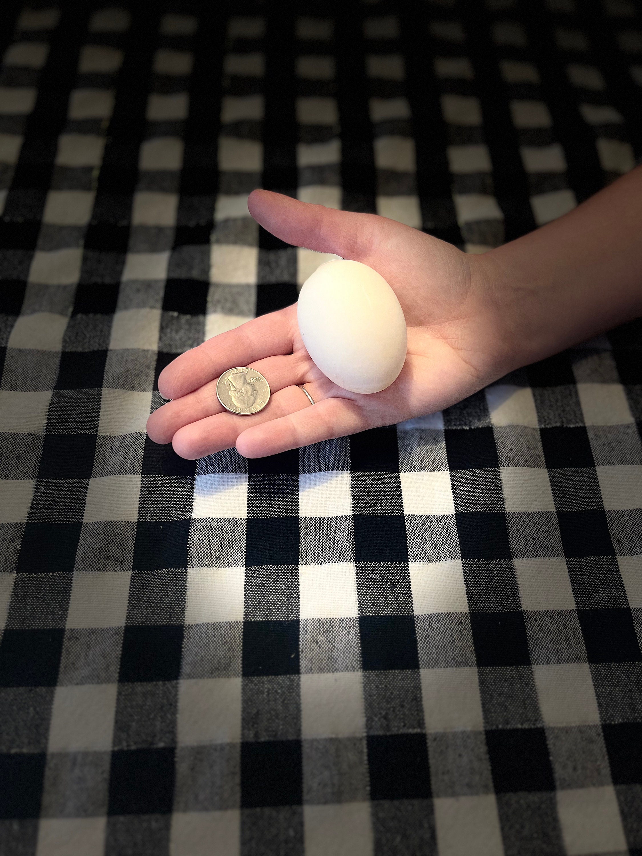 Farm Fresh Duck Eggs - Etsy