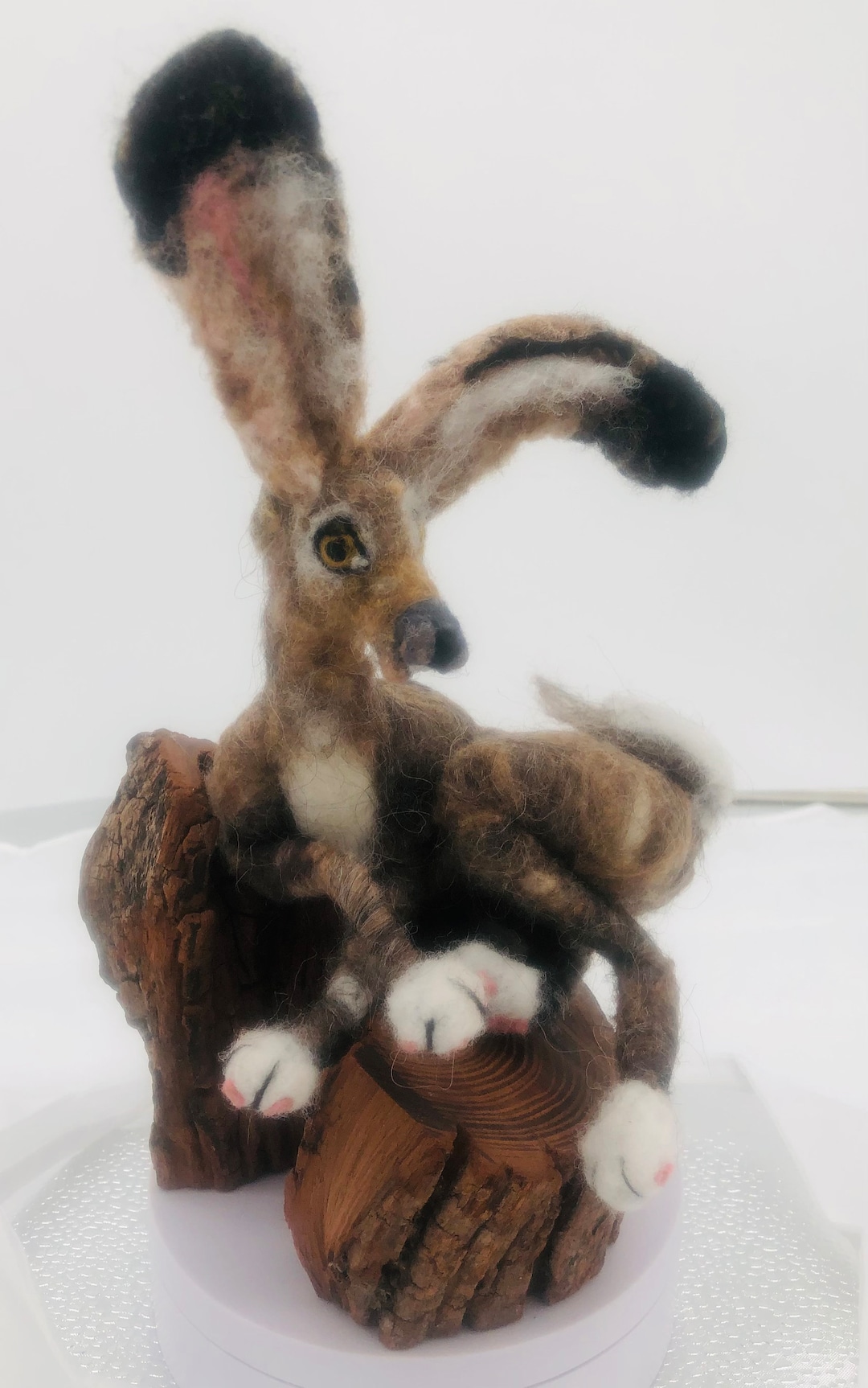 Needle Felting, 2D Wool Painting, Fiber Art, Custom Wool Portraits ...