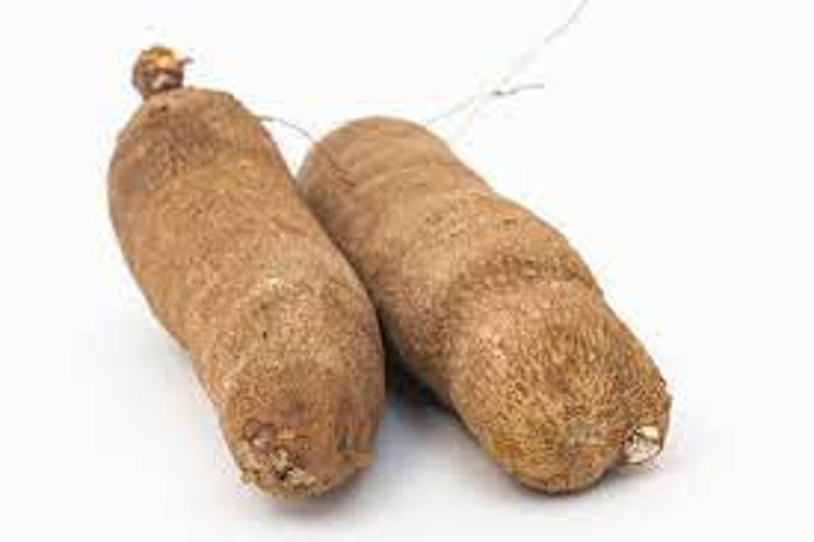 Fresh African Yam, Fresh Ghana Yam, Fresh Tubers of Yam, 7.5lbs (2 0r 3 ...